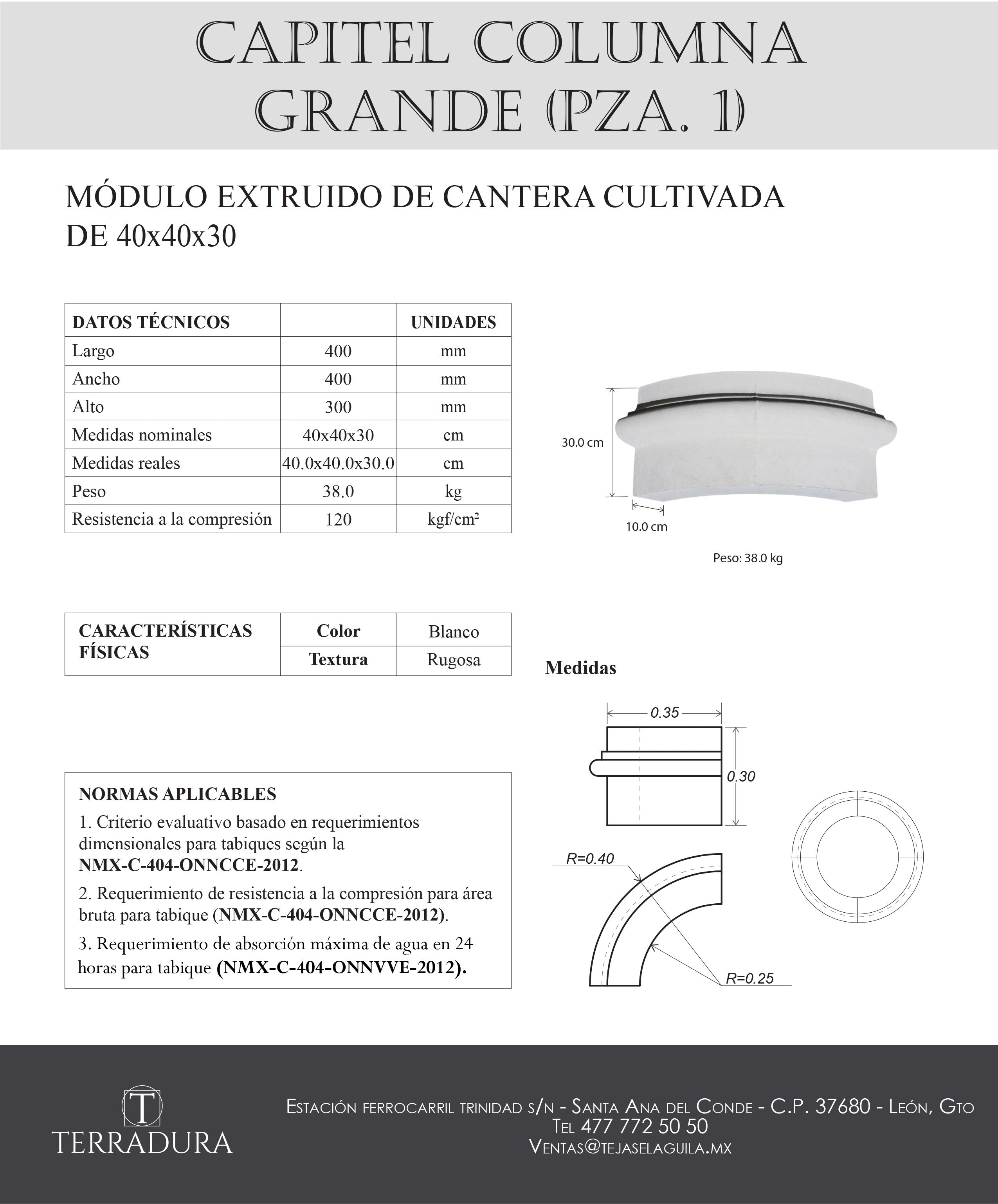 Capitel columna grande (pieza 1) – Terradura